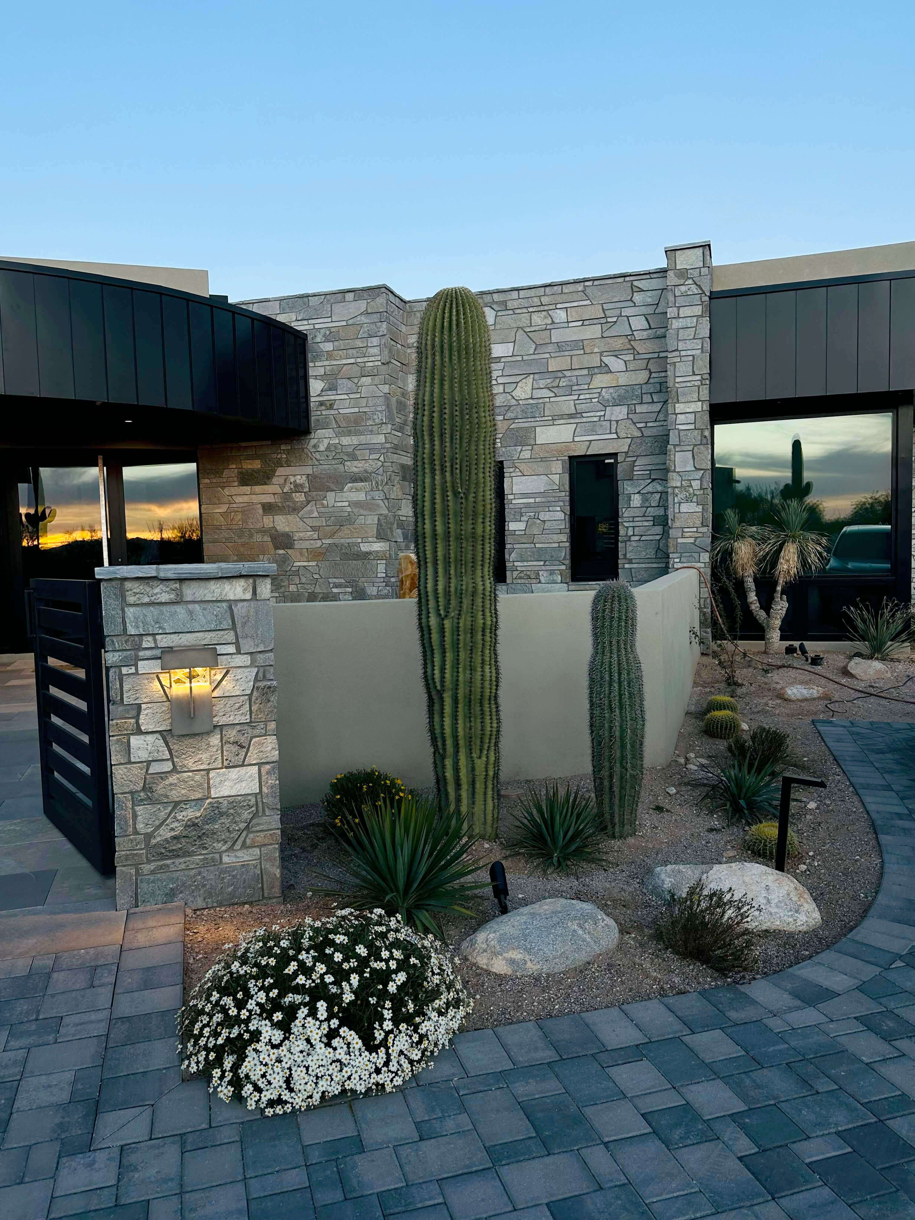 Tucson Landscape Portfolio- A Collection of Our Projects- All Terrain ...